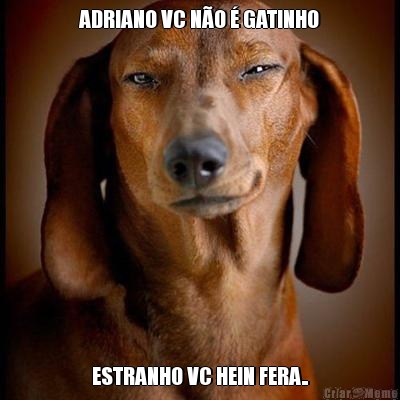 ADRIANO VC NÃO É GATINHO ESTRANHO VC HEIN FERA.. - Meme - Criarmeme.com.br