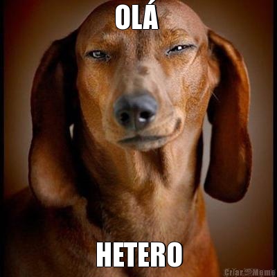 OLÁ HETERO - Meme - Criarmeme.com.br